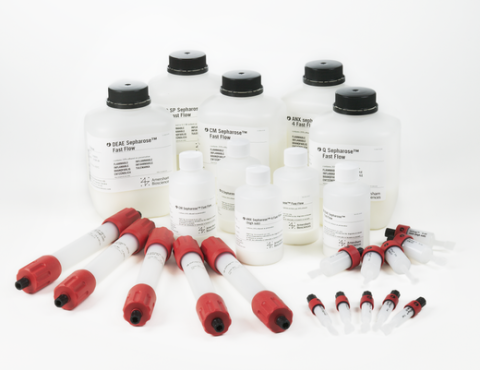 HiTrap SP Sepharose FF | 思拓凡学堂中国官网